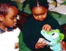 Fostering Social and Emotional Competence: Implementing Dina Dinosaur's ...